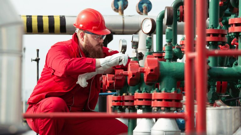 Risk Management Across Different Industries: A Deeper Dive - Qooling